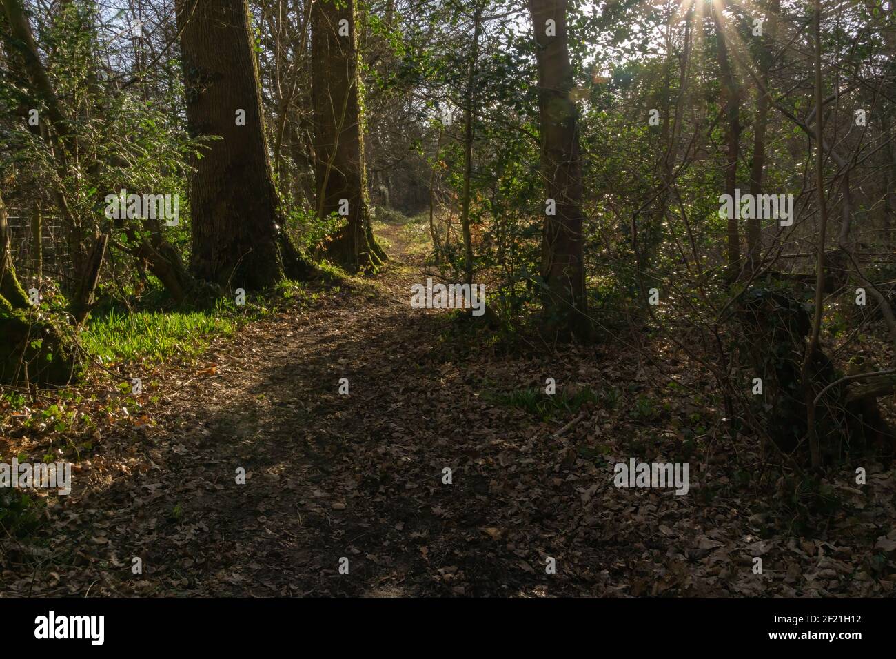 Perceton hi-res stock photography and images - Alamy