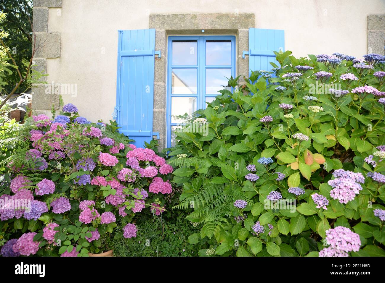 Window in Locronan Stock Photo - Alamy