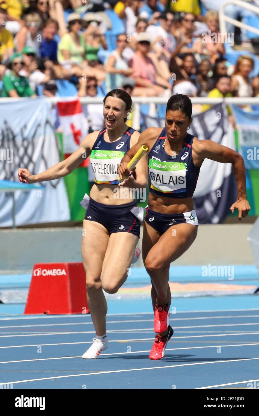 Distel bonnet hi-res stock photography and images - Alamy