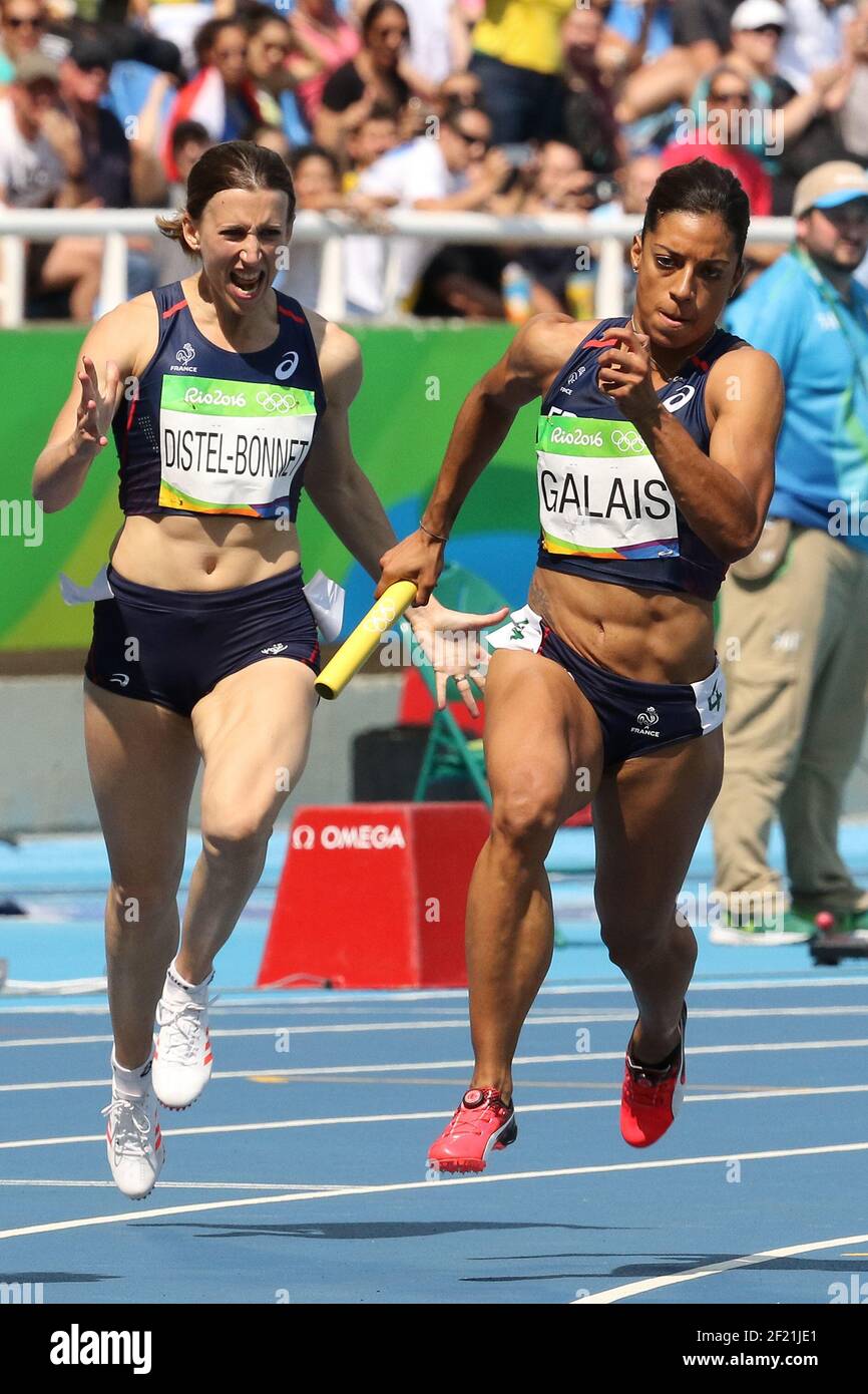 Distel bonnet hi-res stock photography and images - Alamy