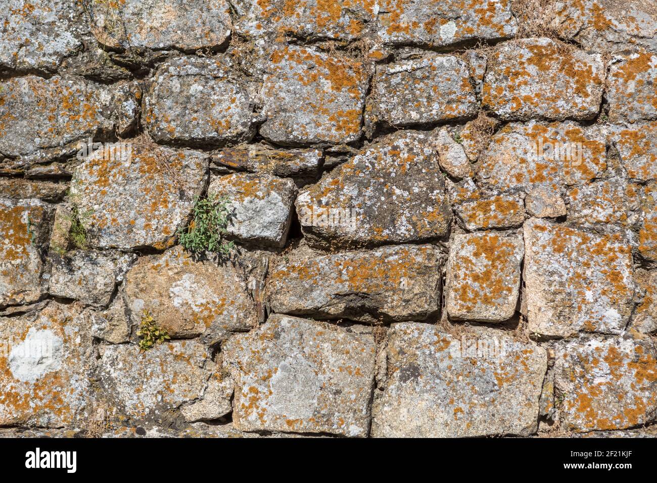 Texture Old Stone Building