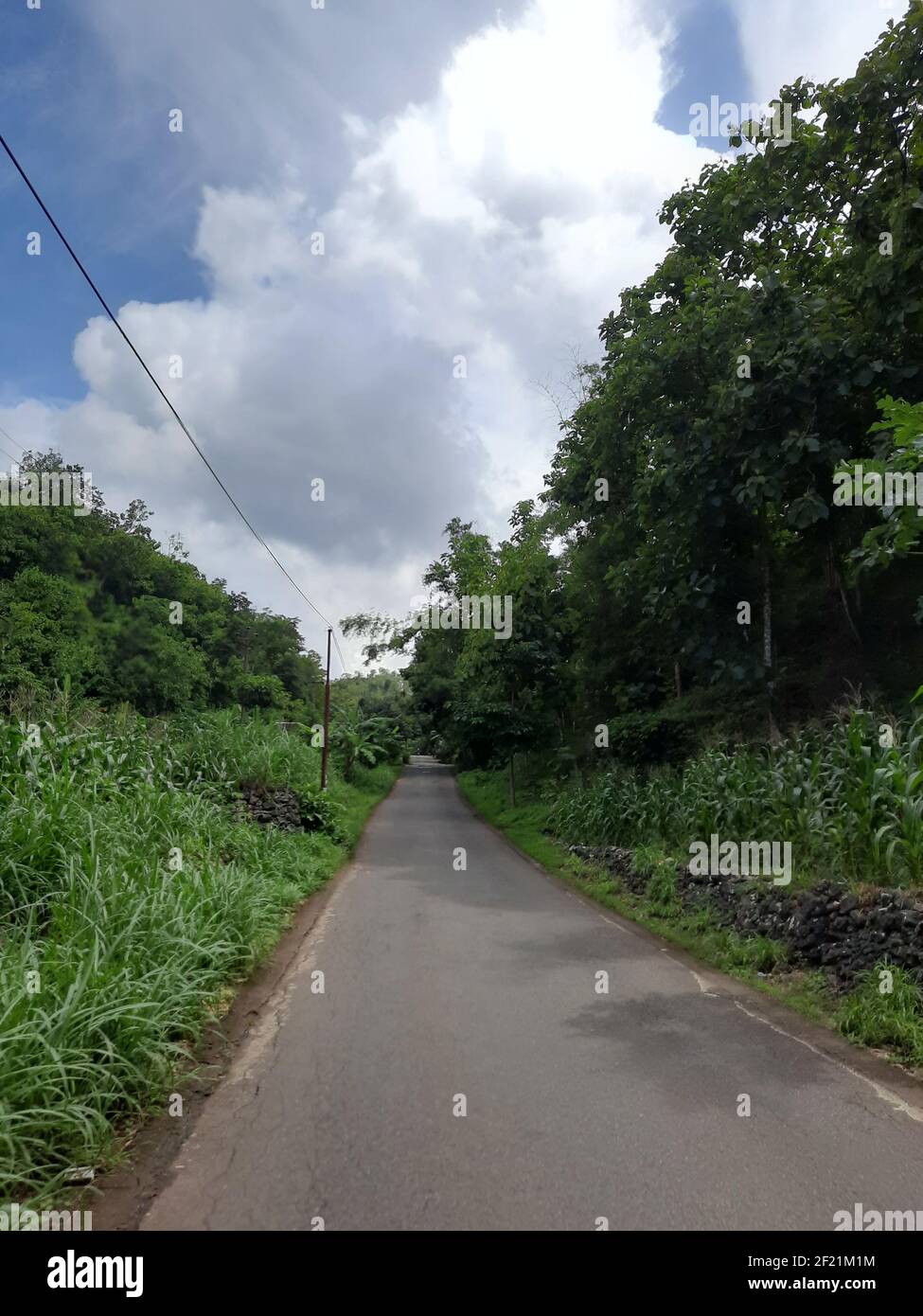 POV in over head shot from a motorbike driving on a narrow left-hand ...