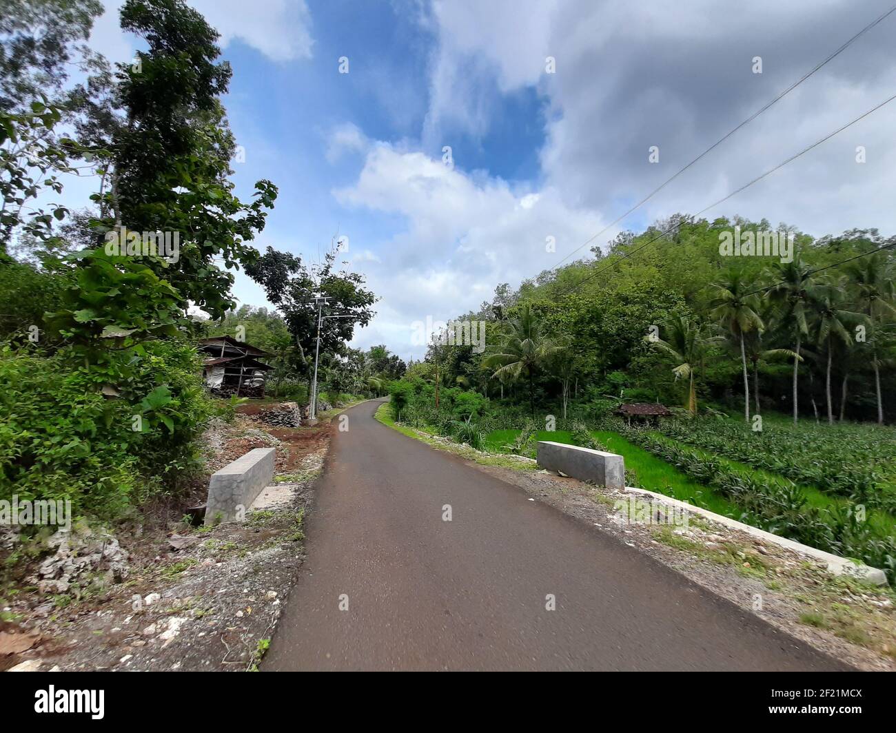 POV in over head shot from a motorbike driving on a narrow left-hand ...