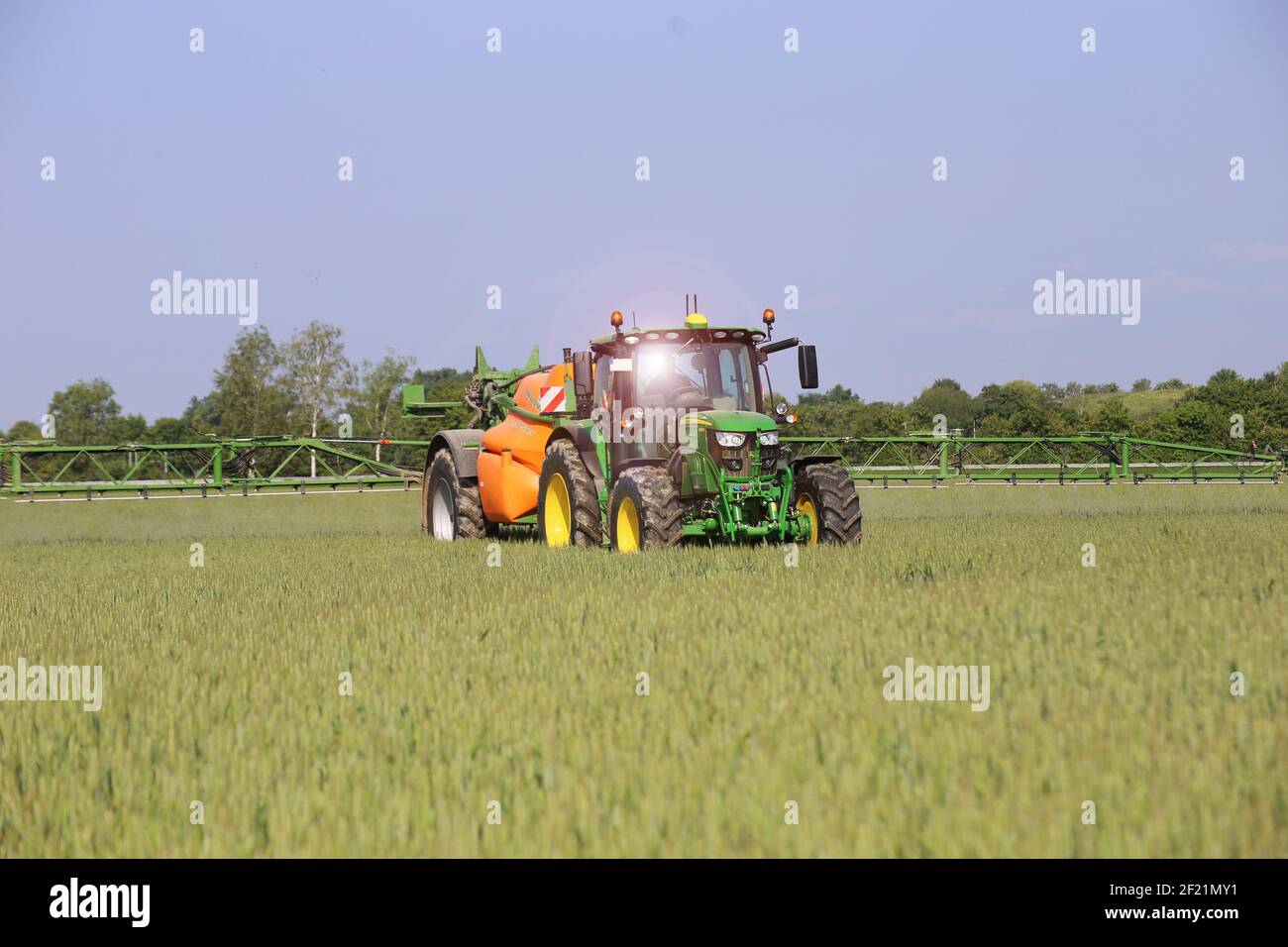 Wheat rust germany hi-res stock photography and images - Alamy