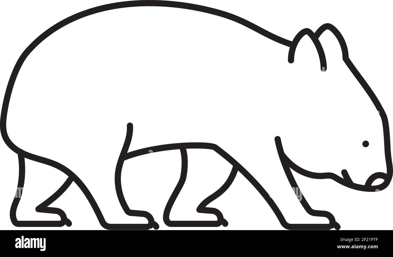 Wombat Drawing Outline