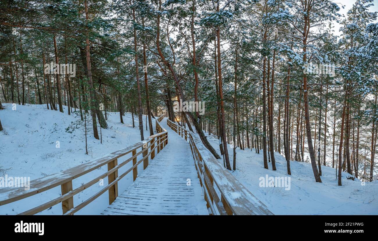 Forest walk in snow hi-res stock photography and images - Alamy