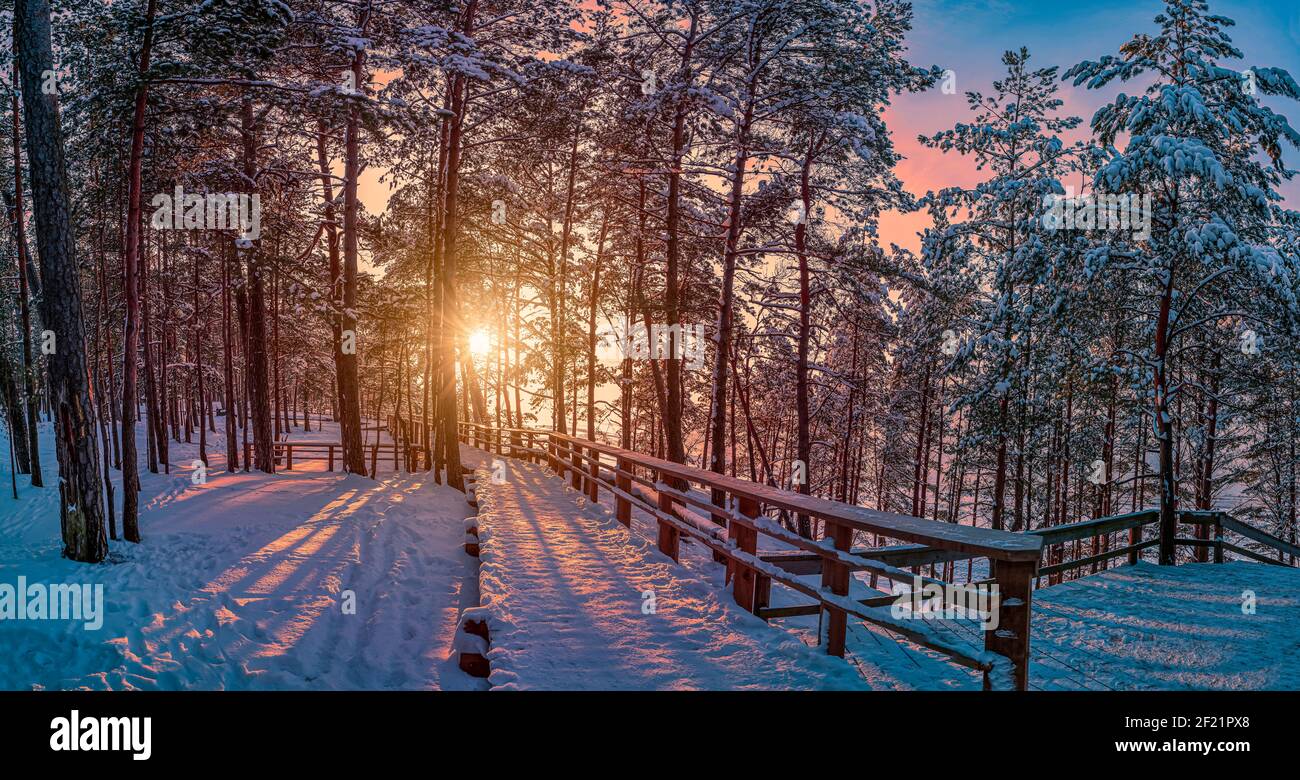 Rays of light coming through trees hi-res stock photography and images ...