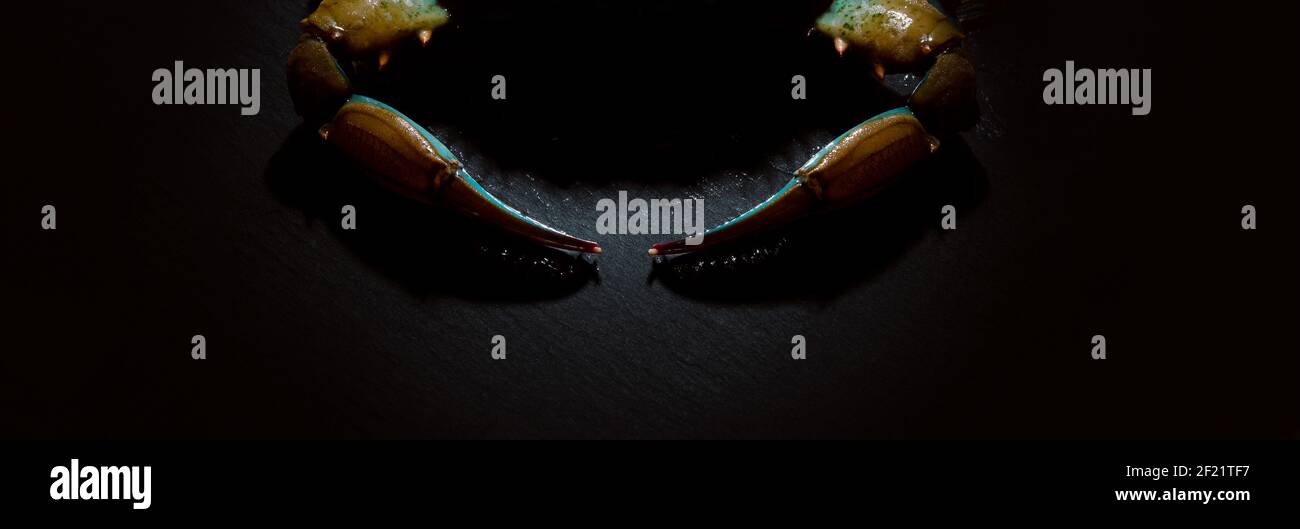 Blue crab claws hi-res stock photography and images - Alamy