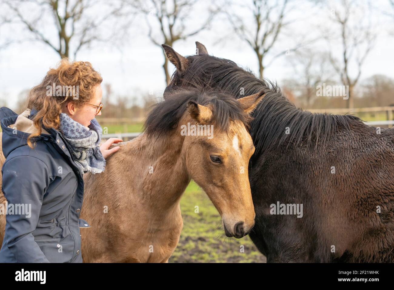 Girl cuddling pony hi-res stock photography and images - Alamy