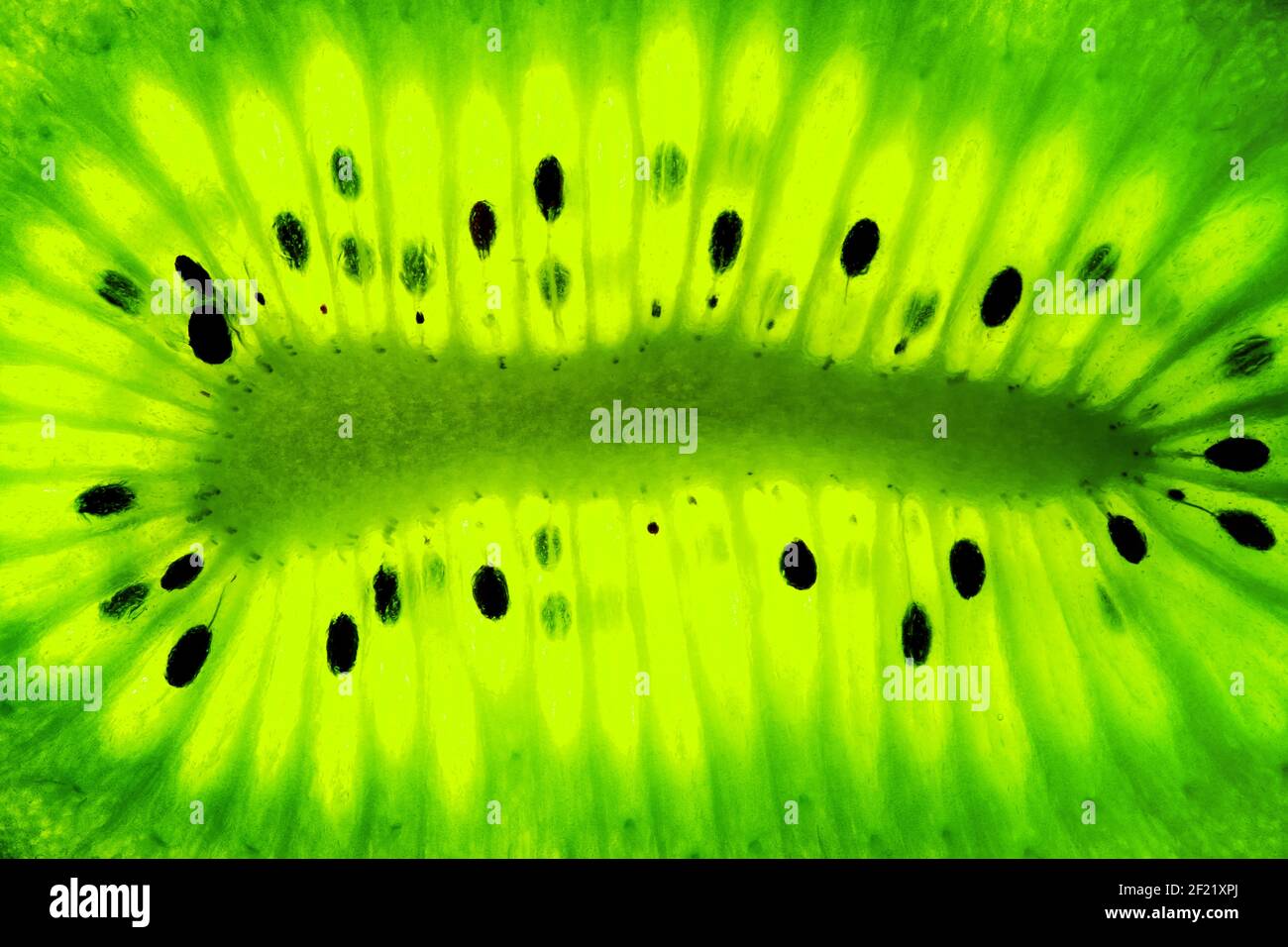 Fresh kiwi fruit slices closeup macro texture background Stock Photo ...