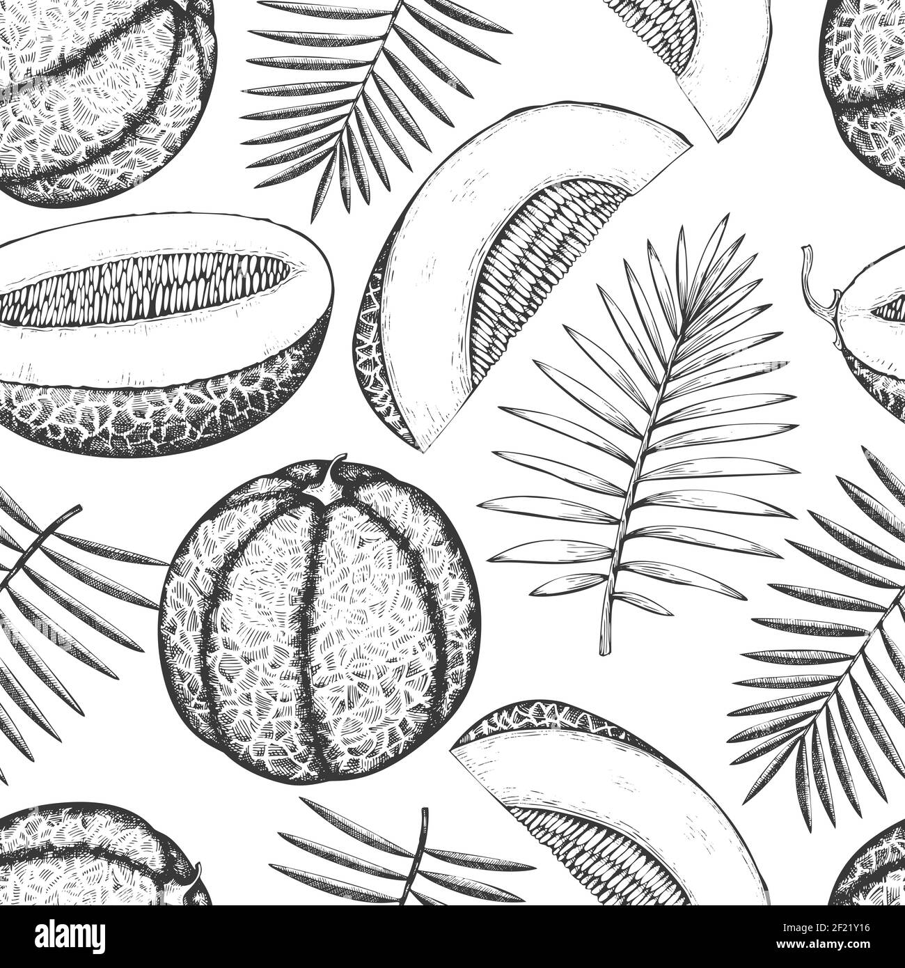 Cantaloupe melon melons fruit fresh Black and White Stock Photos ...