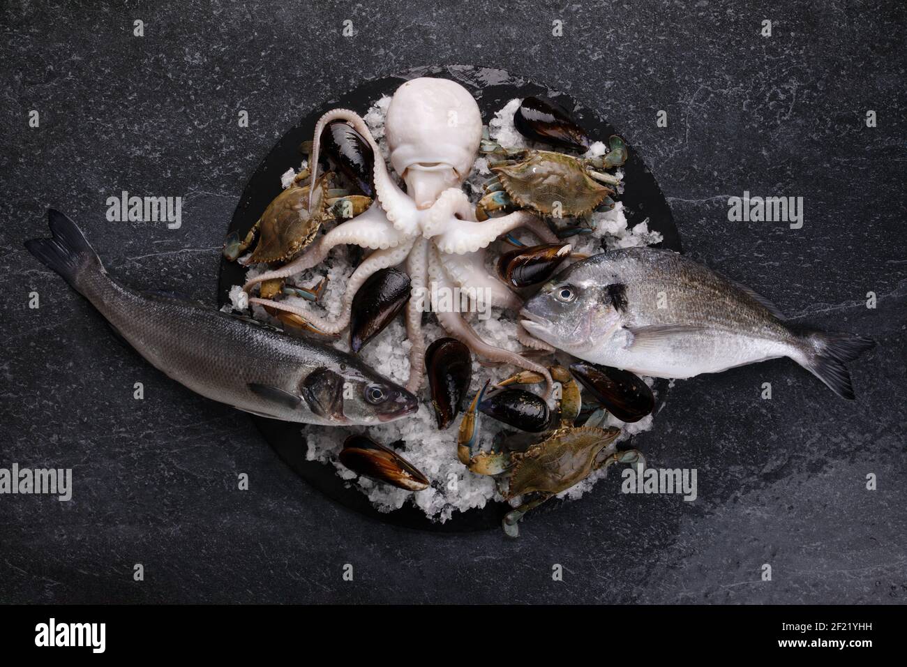 black plate of raw seafood on ice, sea bass, cuttlefish, blue crabs and ...