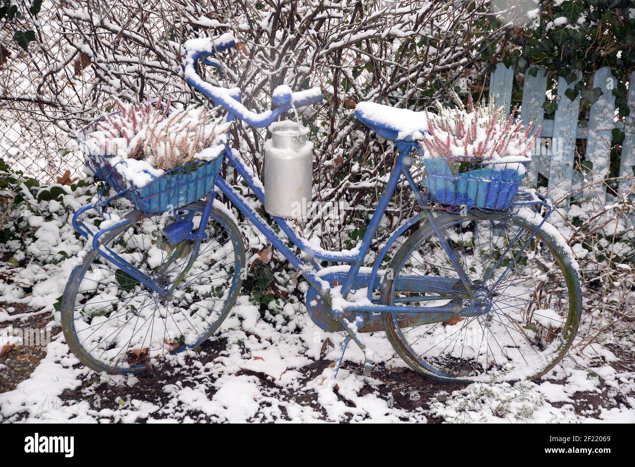 Blue bike in winter Stock Photo - Alamy