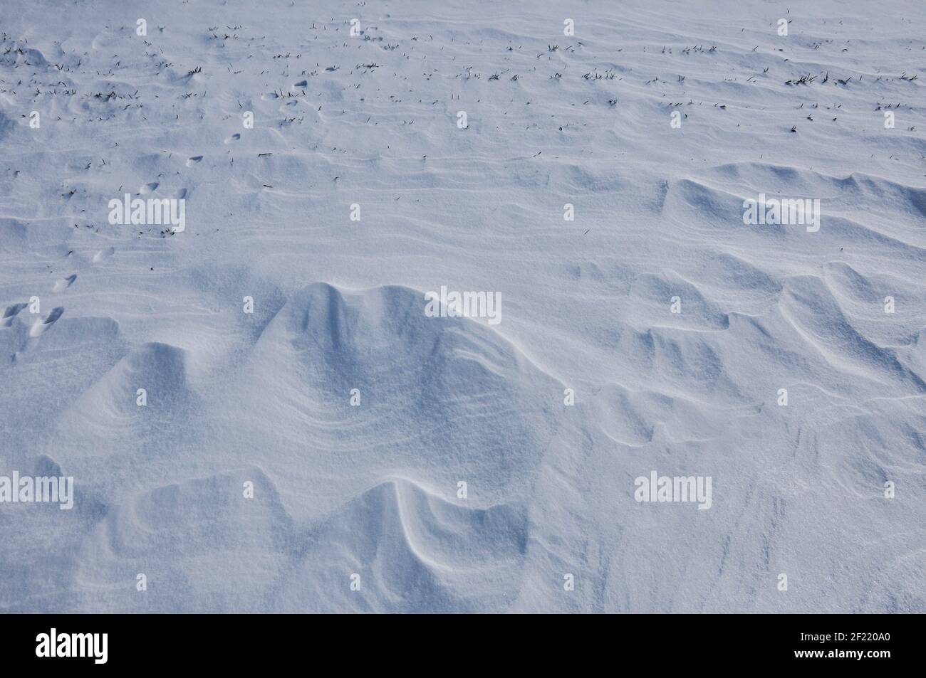 Snow field with drifts nice light dark contrast Stock Photo - Alamy