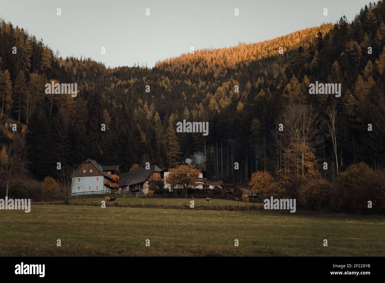A beautiful rural landscape with a cabin in the woods Stock Photo - Alamy