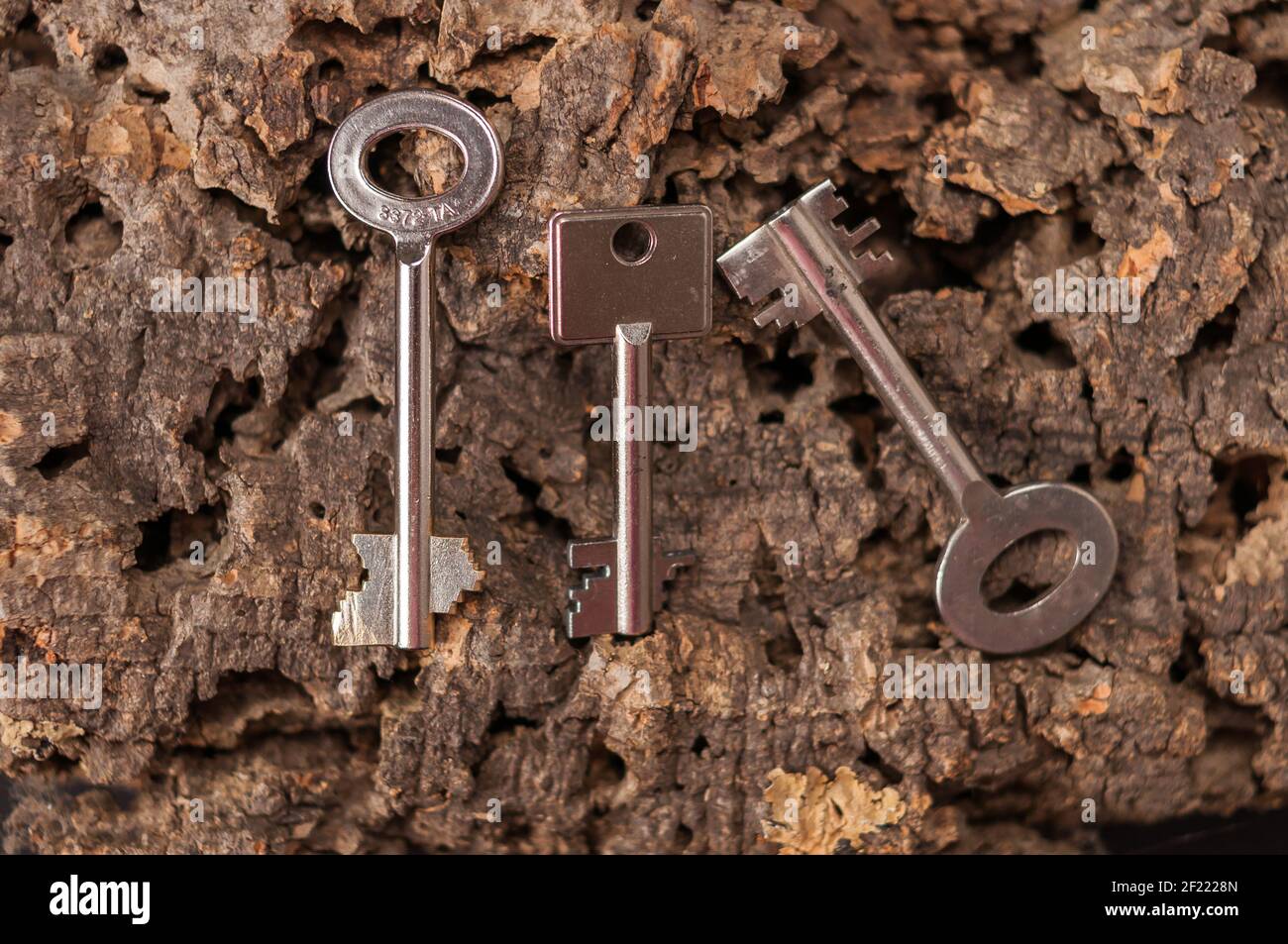 Different house keys isolated on hi-res stock photography and images ...