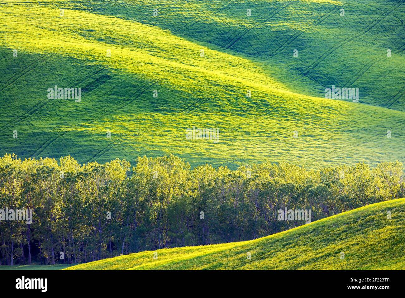 Rolling fields in rural landscape with sun spot Stock Photo - Alamy