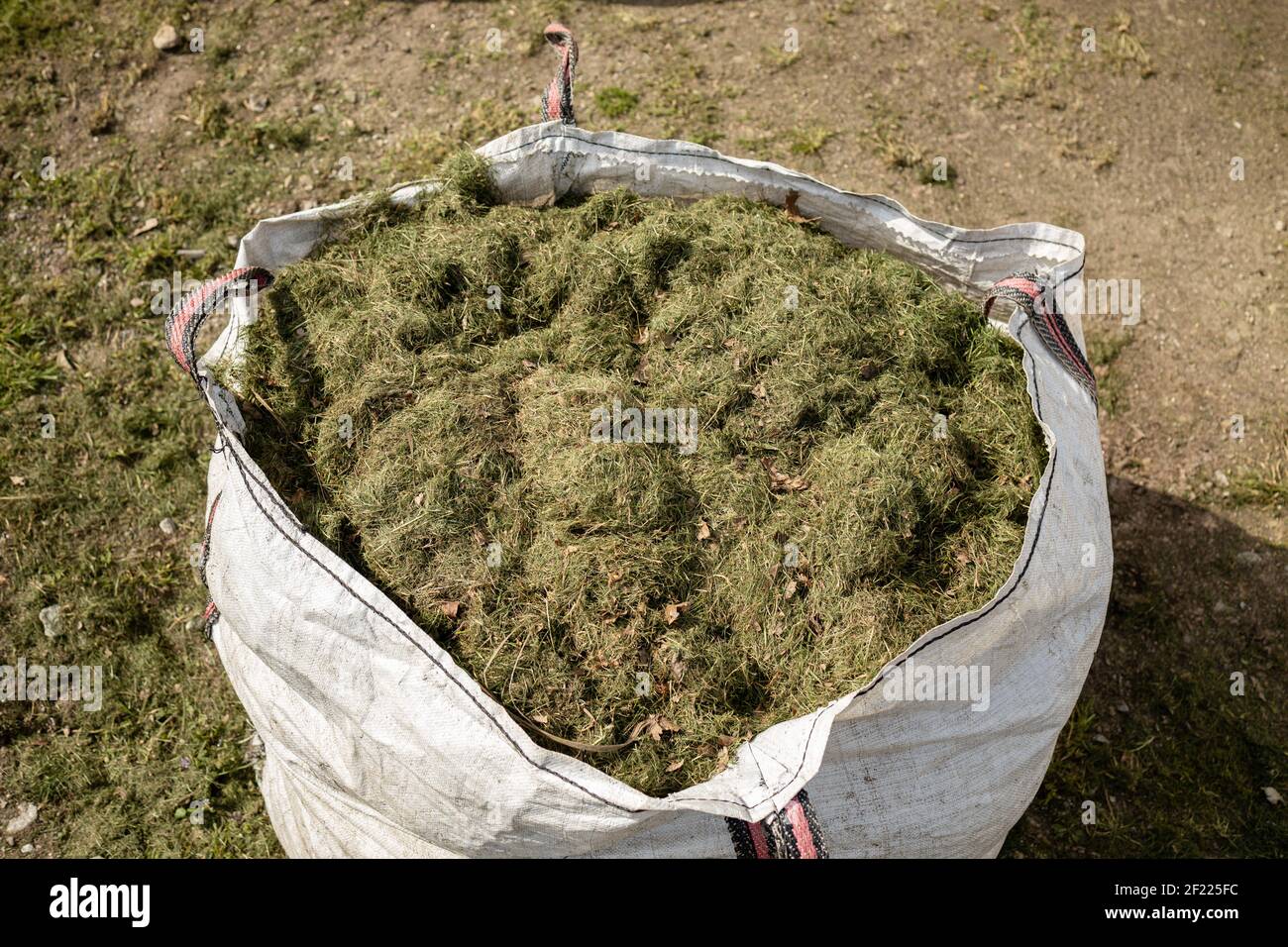 Sacks full of cut grass. Gardening in public spaces Stock Photo - Alamy