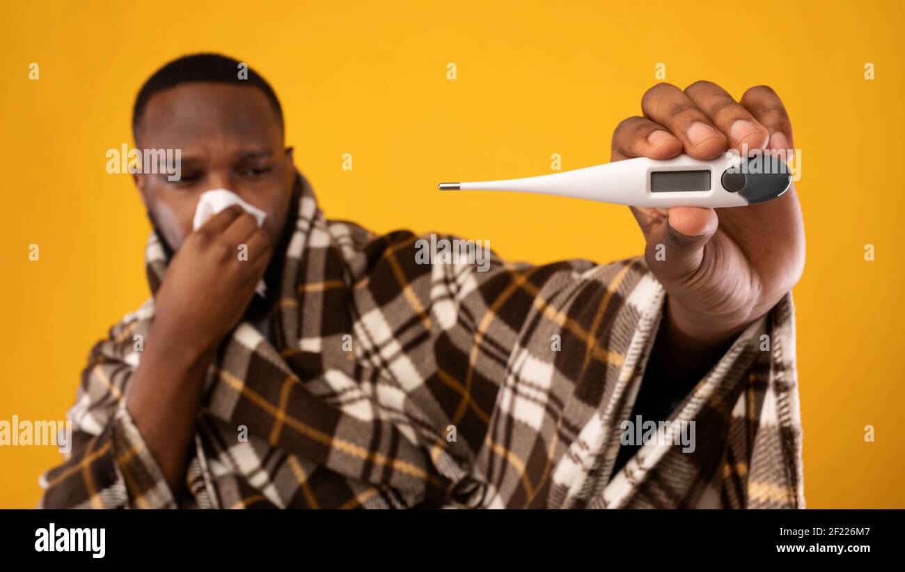 Sick Black Guy Showing Thermometer Blowing Runny Nose, Yellow ...