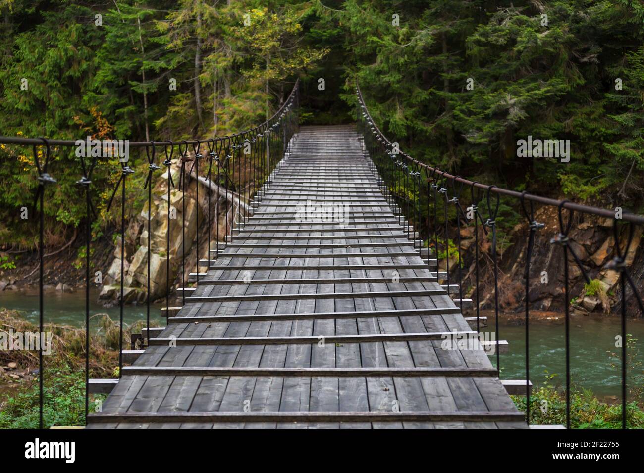 Bridge in the forest Stock Photo - Alamy