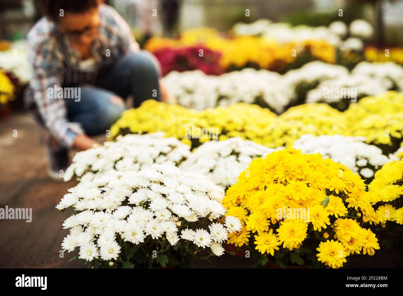Female florist behind flowers hi-res stock photography and images - Alamy