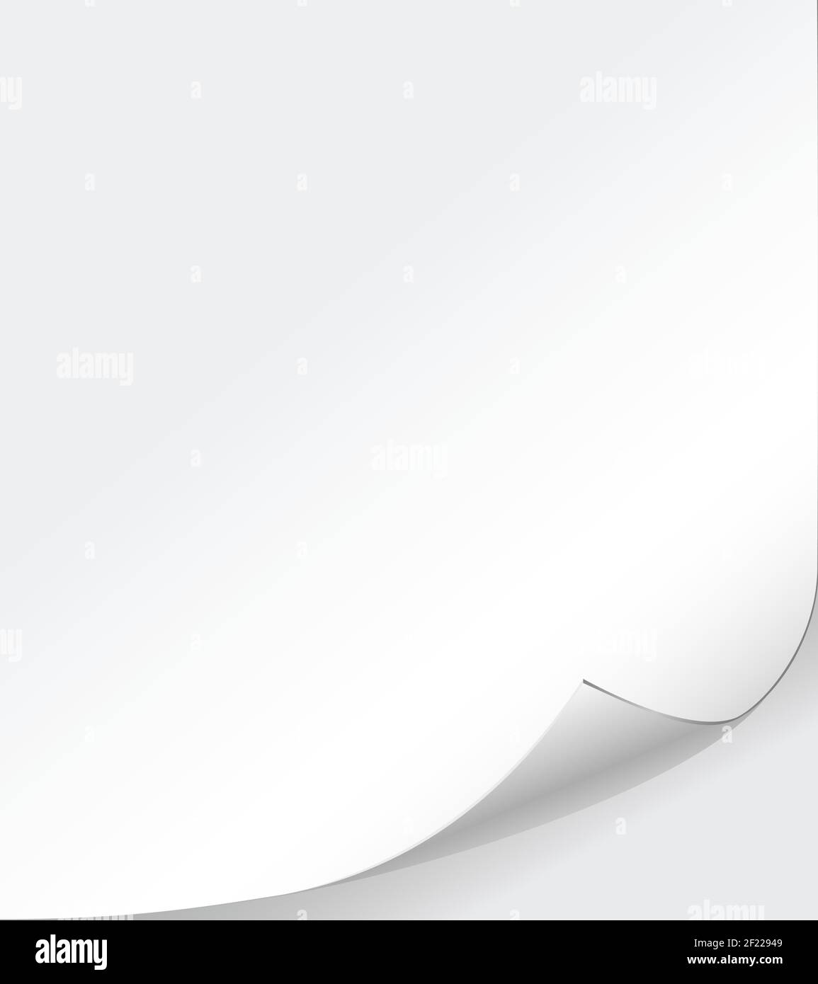 vector white paper background with curled corner Stock Vector Image ...