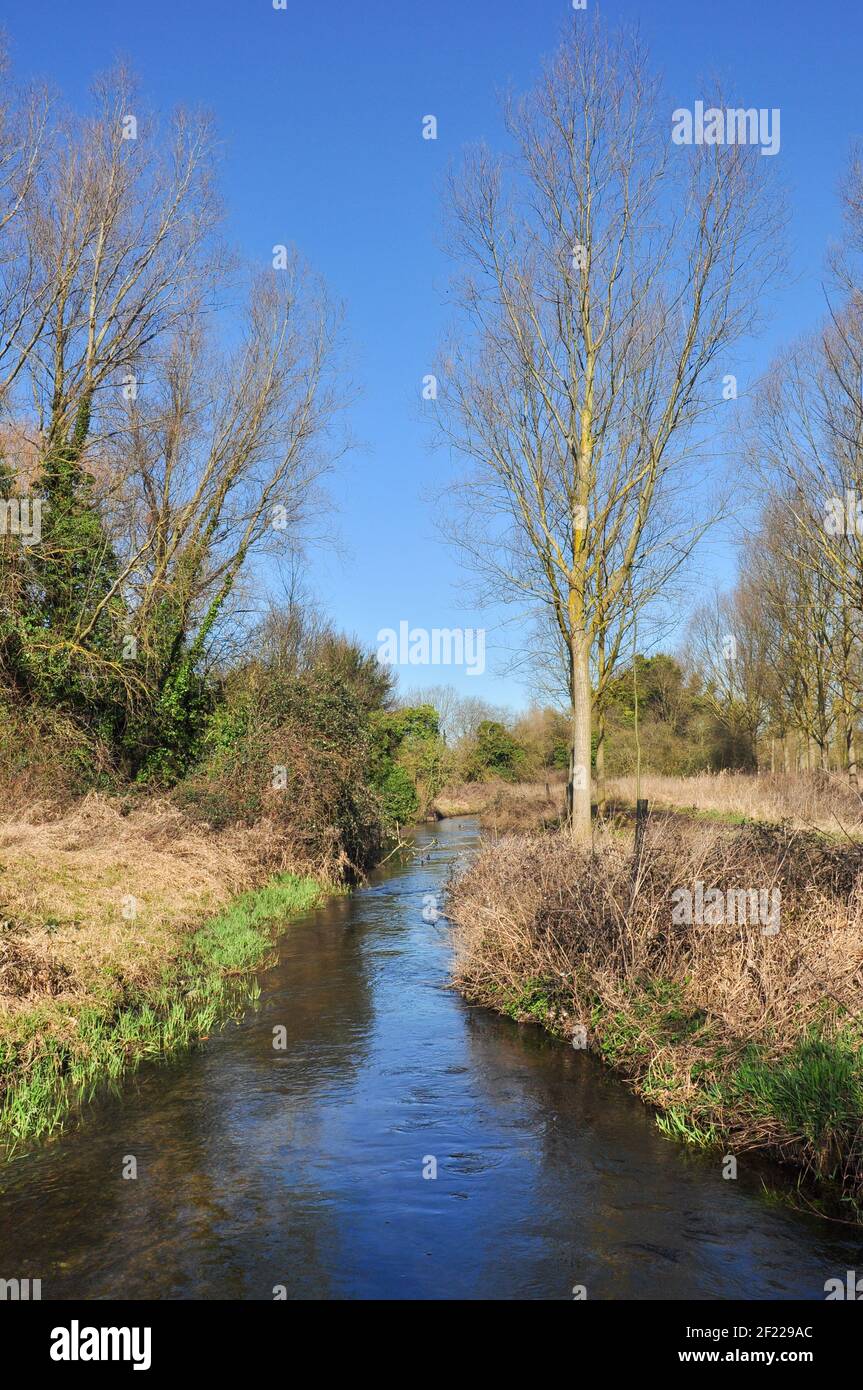 River Hiz in the Burymead Springs area, Hitchin, Hertfordshire, England ...