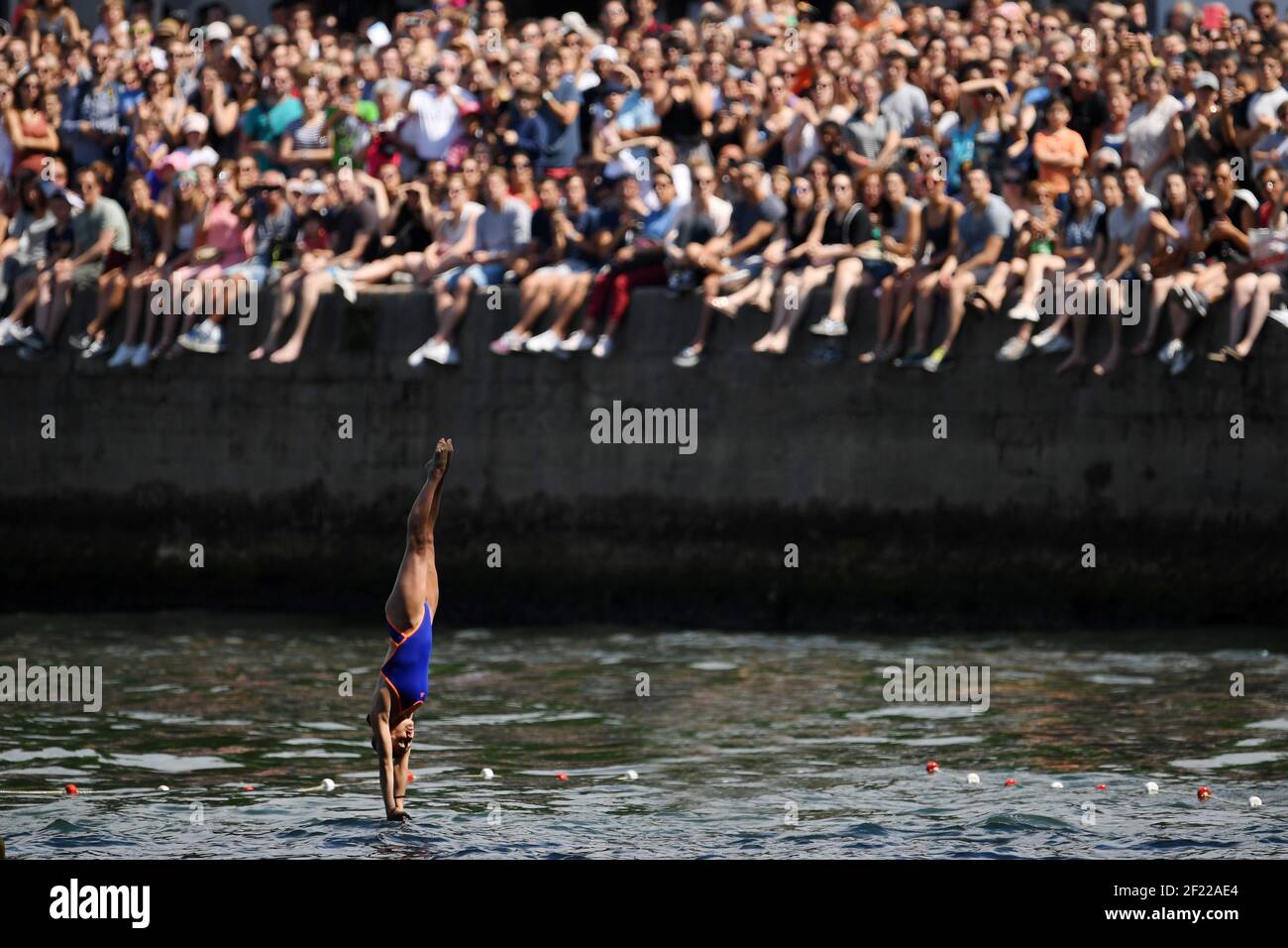 Diving illustration in the Seine during the Olympics days, in Paris ...