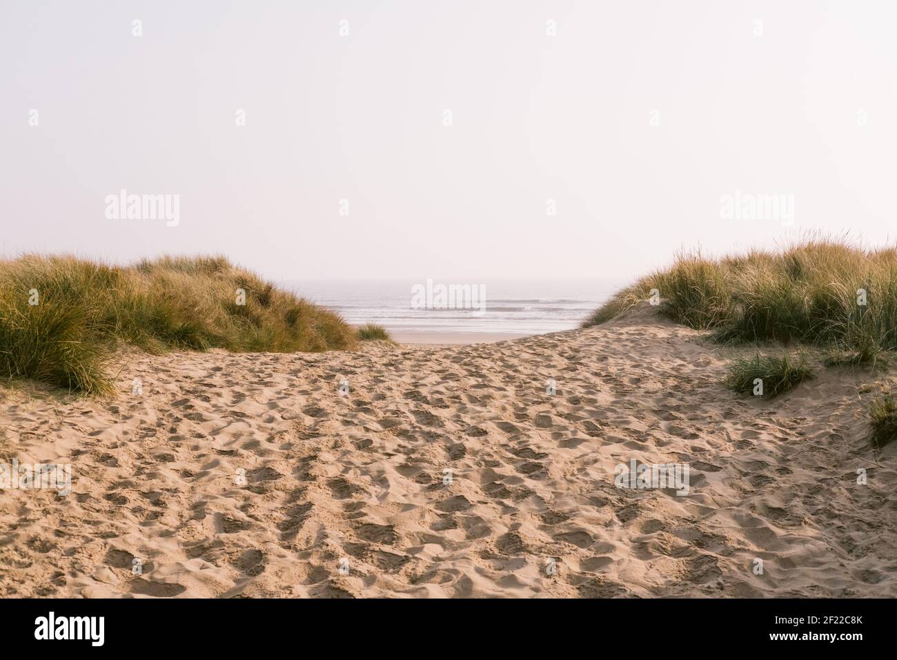 Sandy path bordered by sand dunes and grass leading to the sea Stock ...