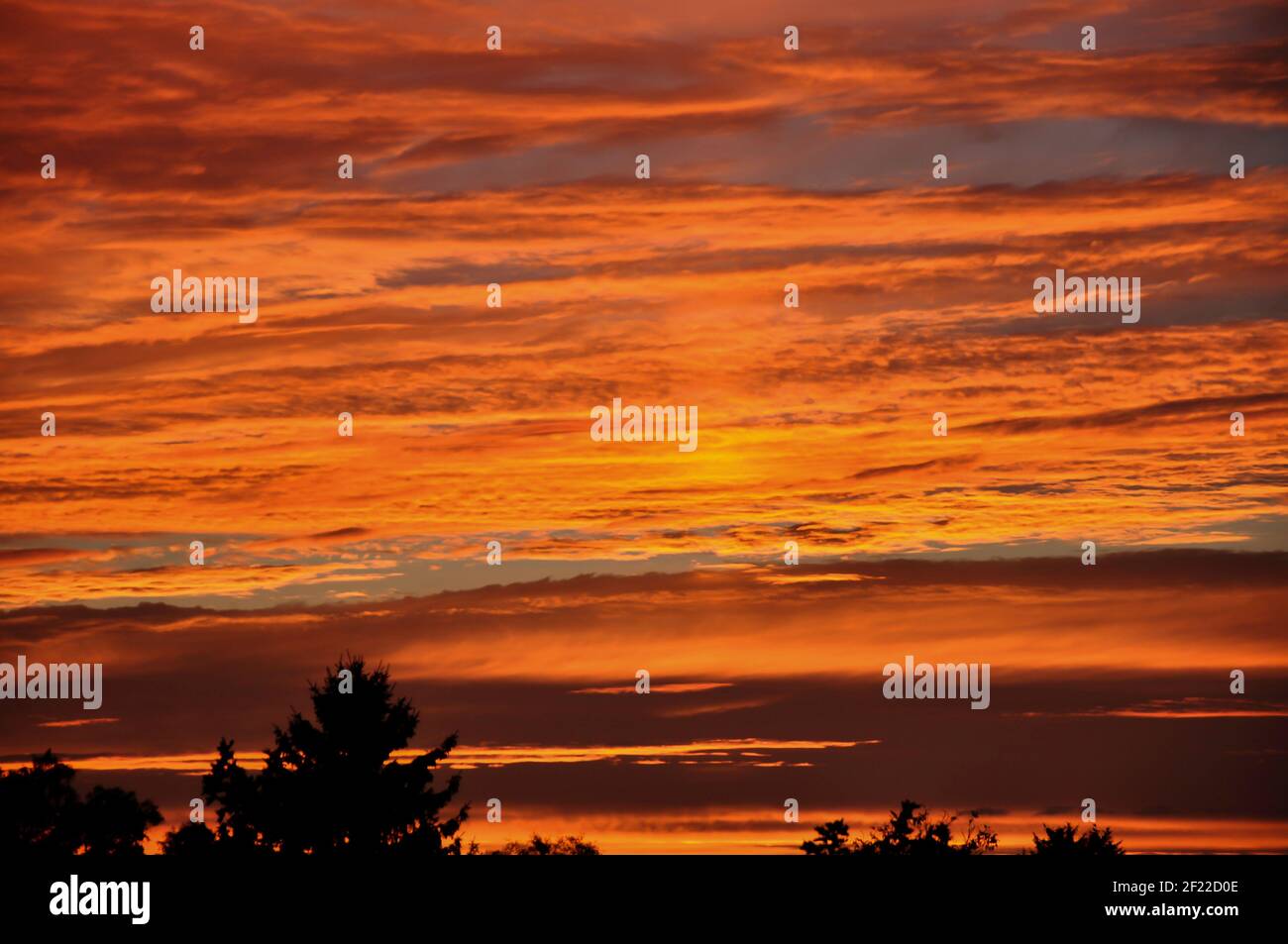 Sunset tree tops hi-res stock photography and images - Alamy