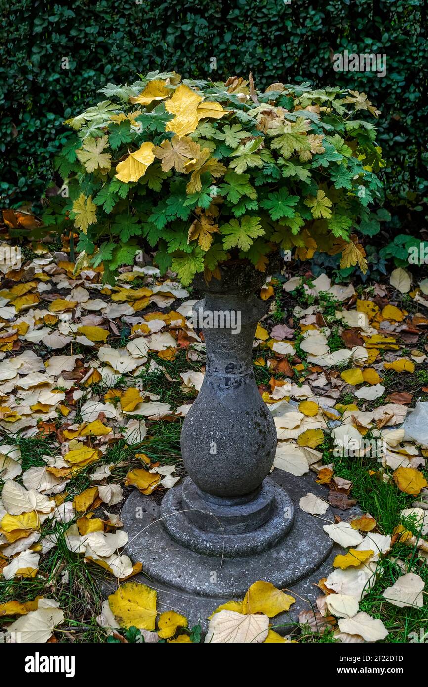 Garden vase hi-res stock photography and images - Alamy