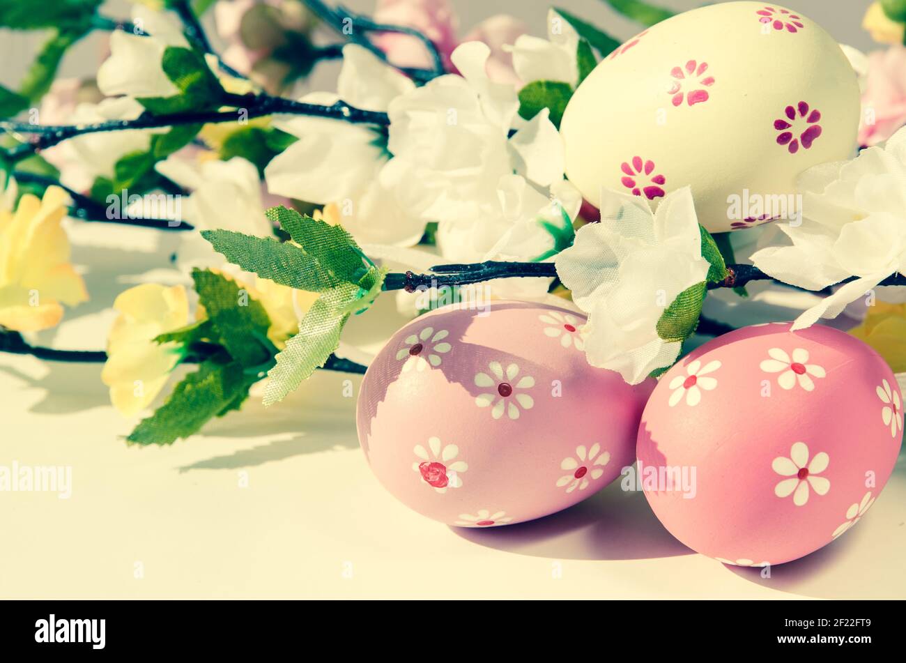 pink easter eggs and spring flowers isolated Stock Photo - Alamy