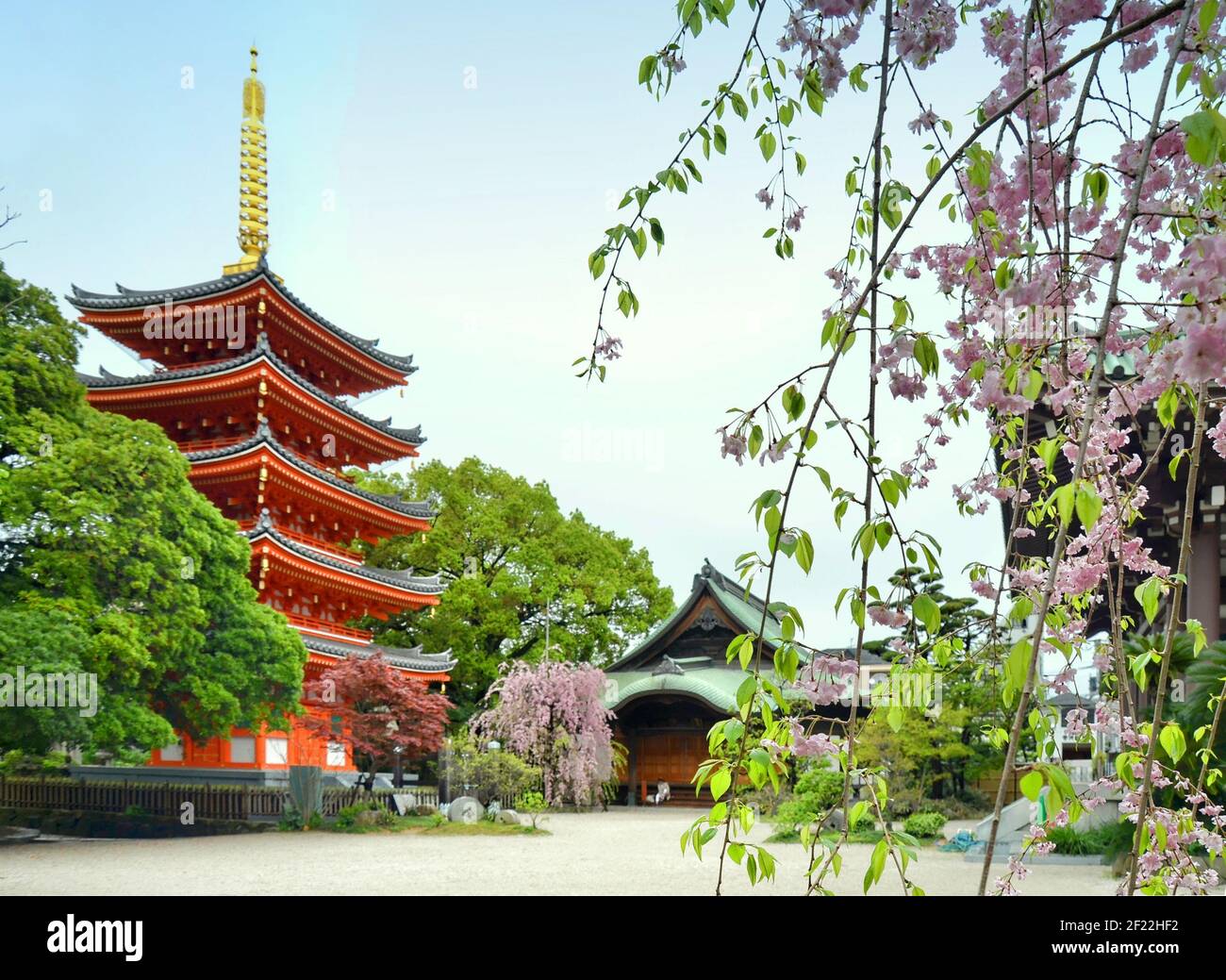 Fukuoka tower hi-res stock photography and images - Alamy