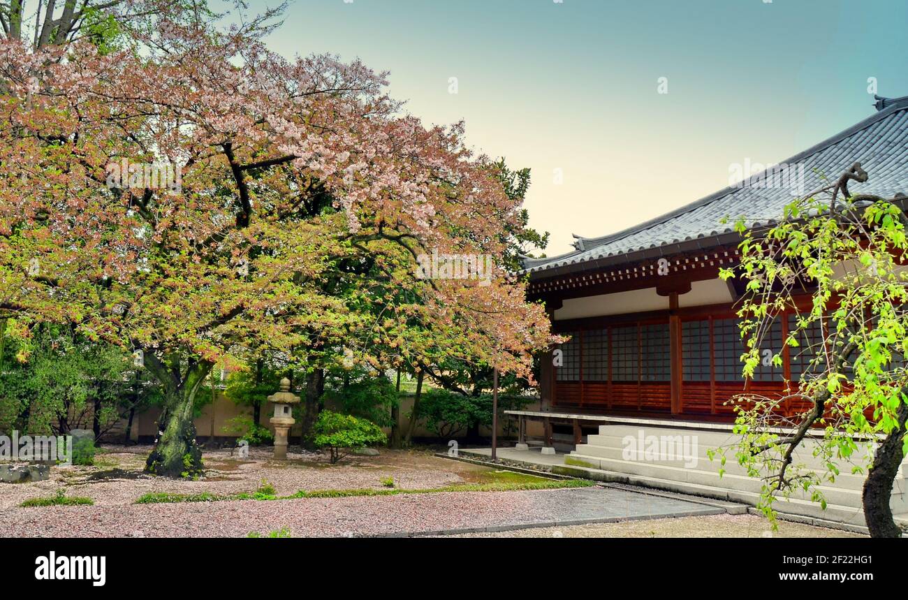 Spring landscape in Hakata old town, Fukuoka city, Japan Stock Photo ...