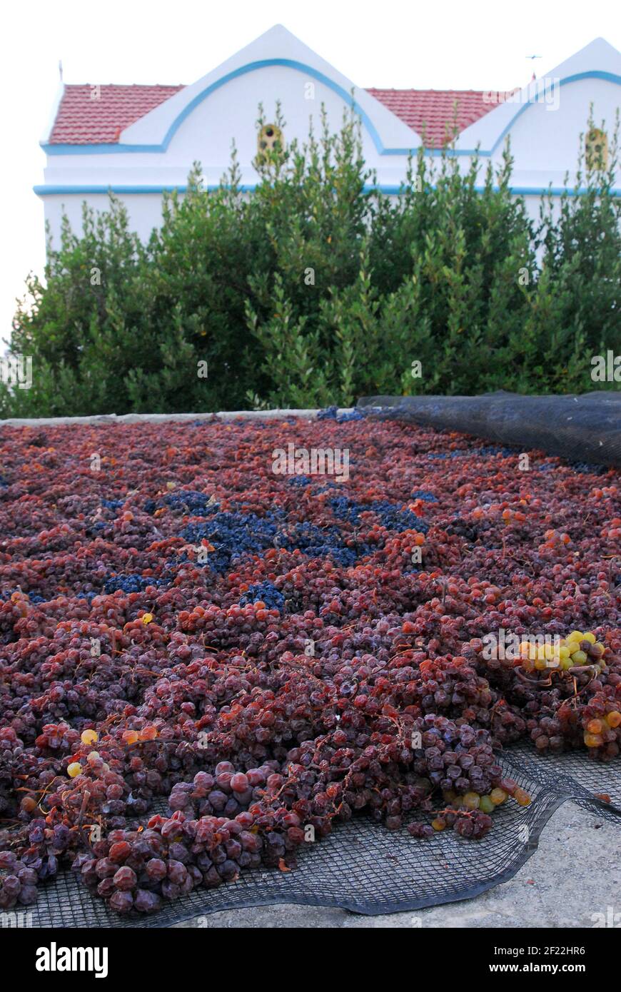 Greece, Rhodes island Embonas village Stock Photo - Alamy