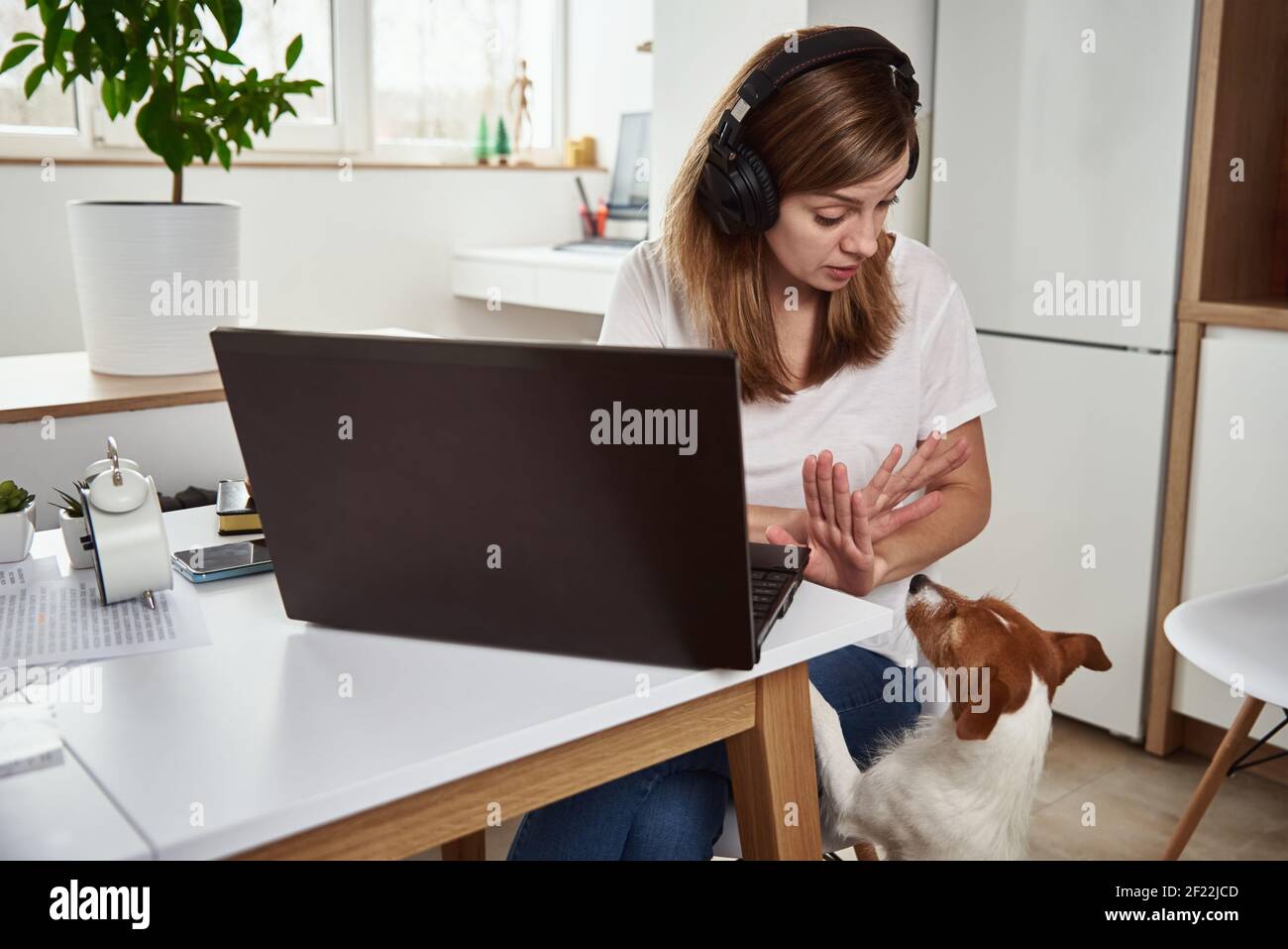 Woman work at laptop with her dog, dog interferes working. Remote work ...