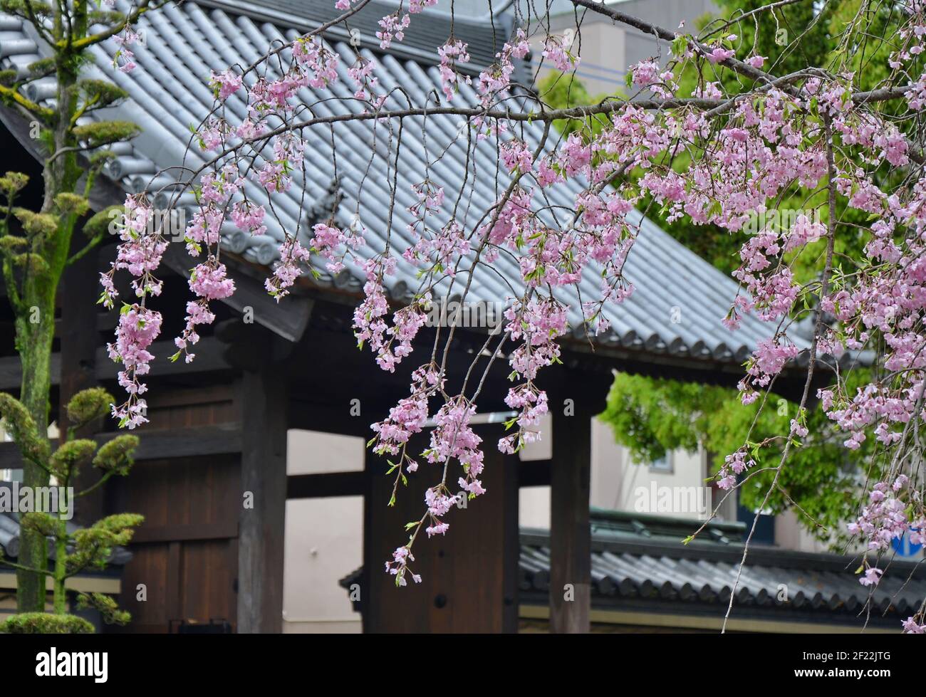 Shōfukuji was the first Zen temple constructed in Japan. It was founded ...