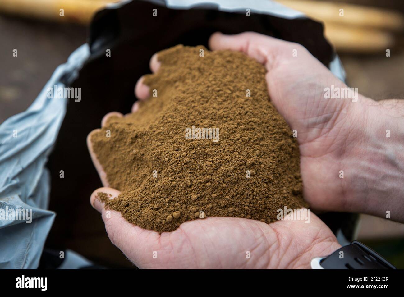 A man holds loam on the crease of Carrickfergus Cricket Club. The ...