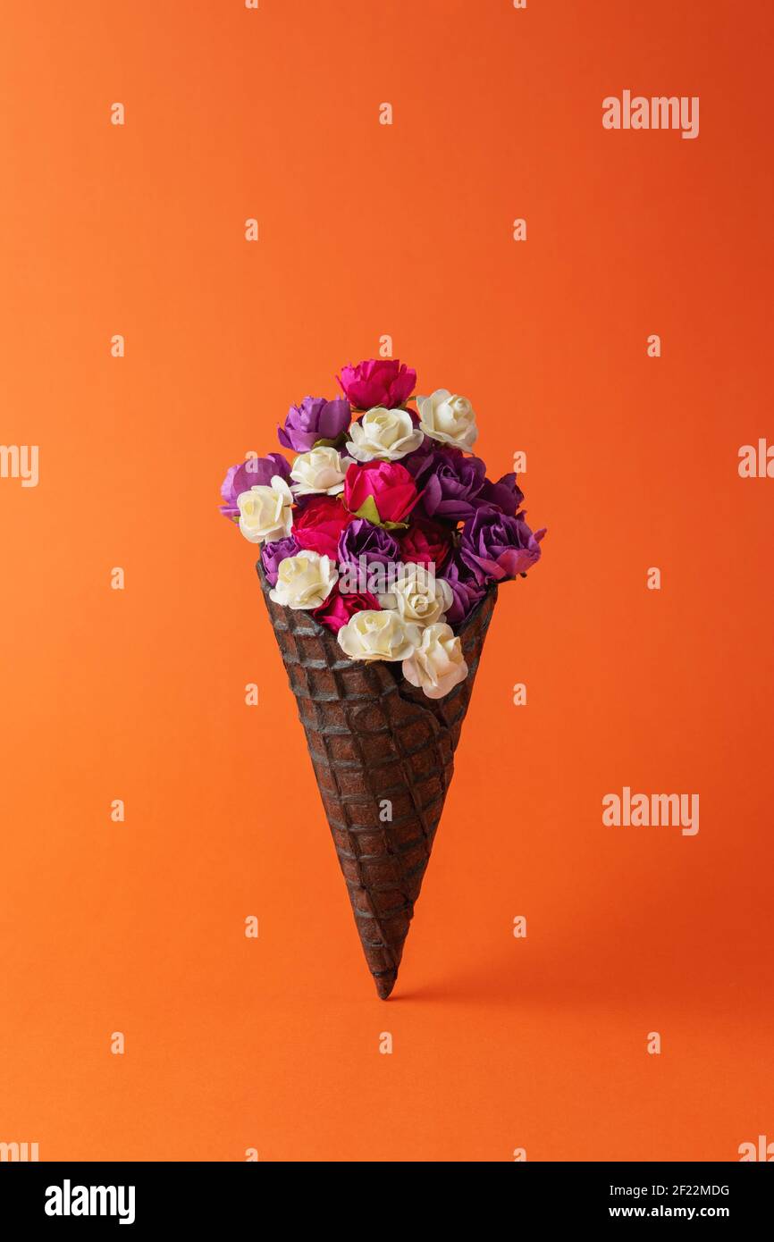 Ice cream cone flower hi-res stock photography and images - Alamy