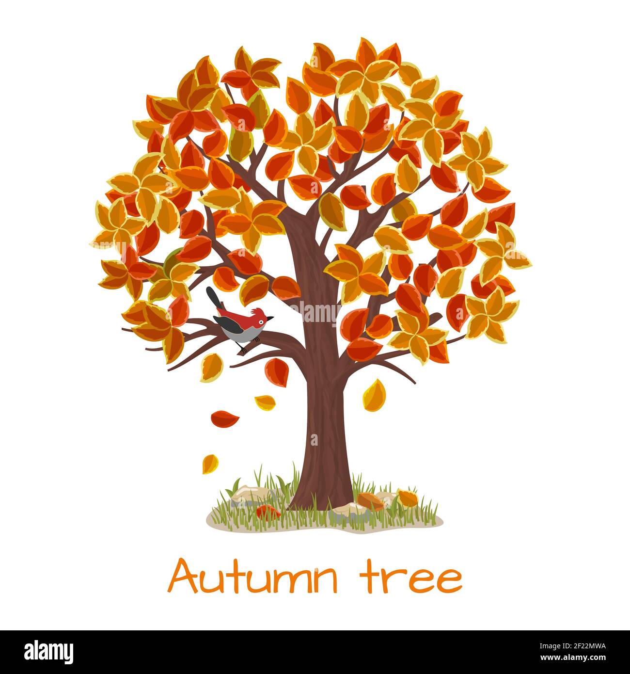 Autumn tree. Nature tree, season fall and branch plant, vector ...