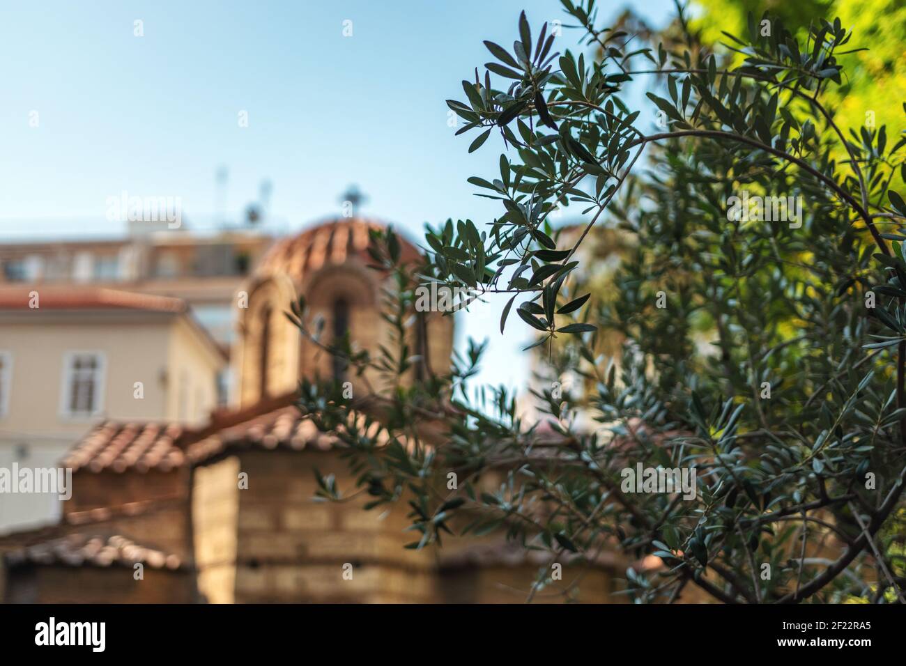 Branch of olive tree on church background. Nature background Stock ...