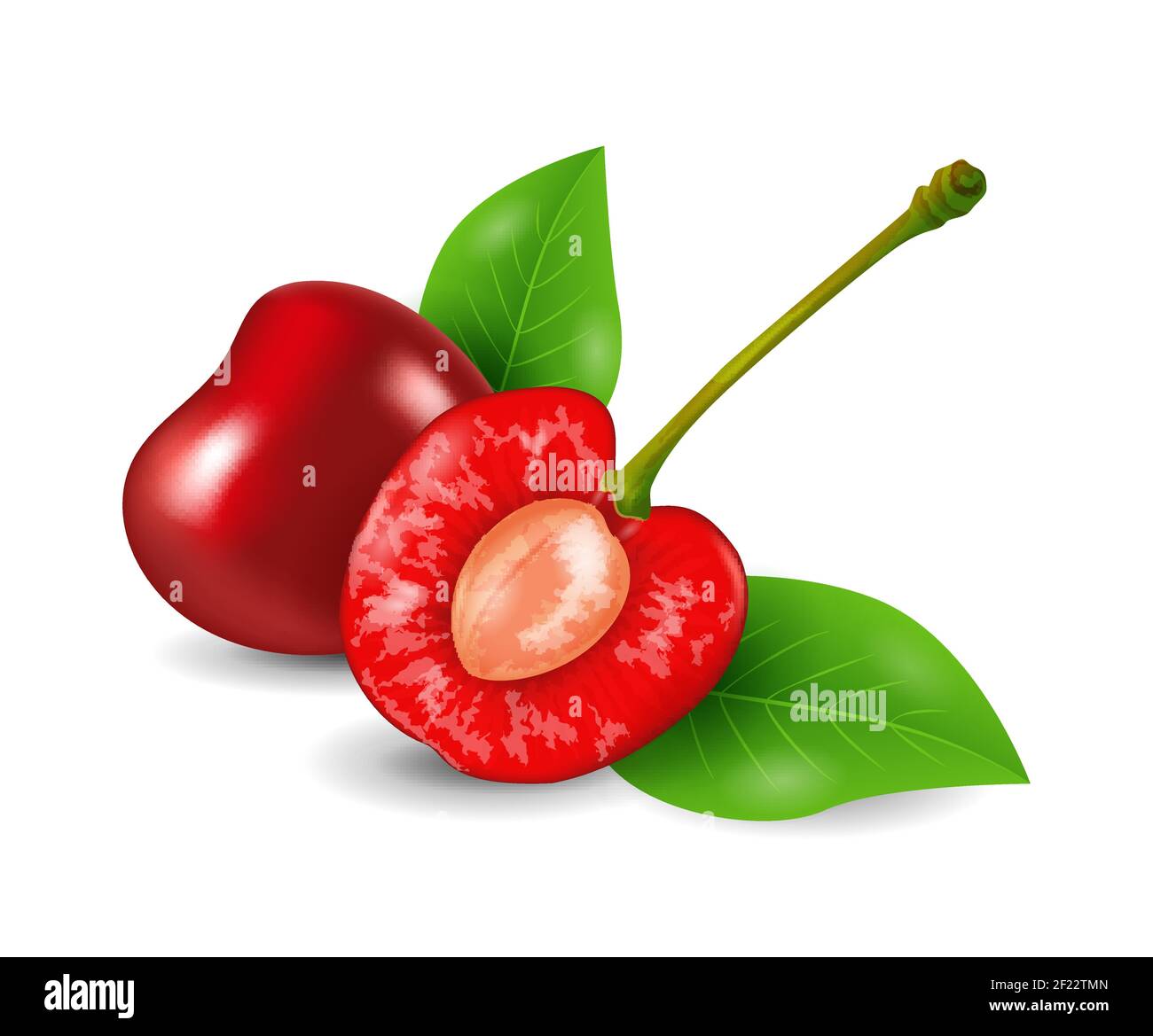 Cherry berry - exotic fruits collection, realistic design vector ...
