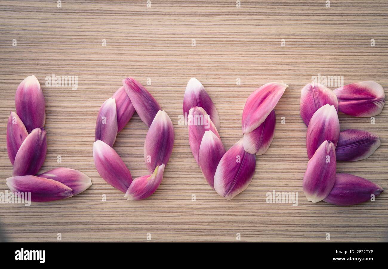Love flower word hi-res stock photography and images - Alamy