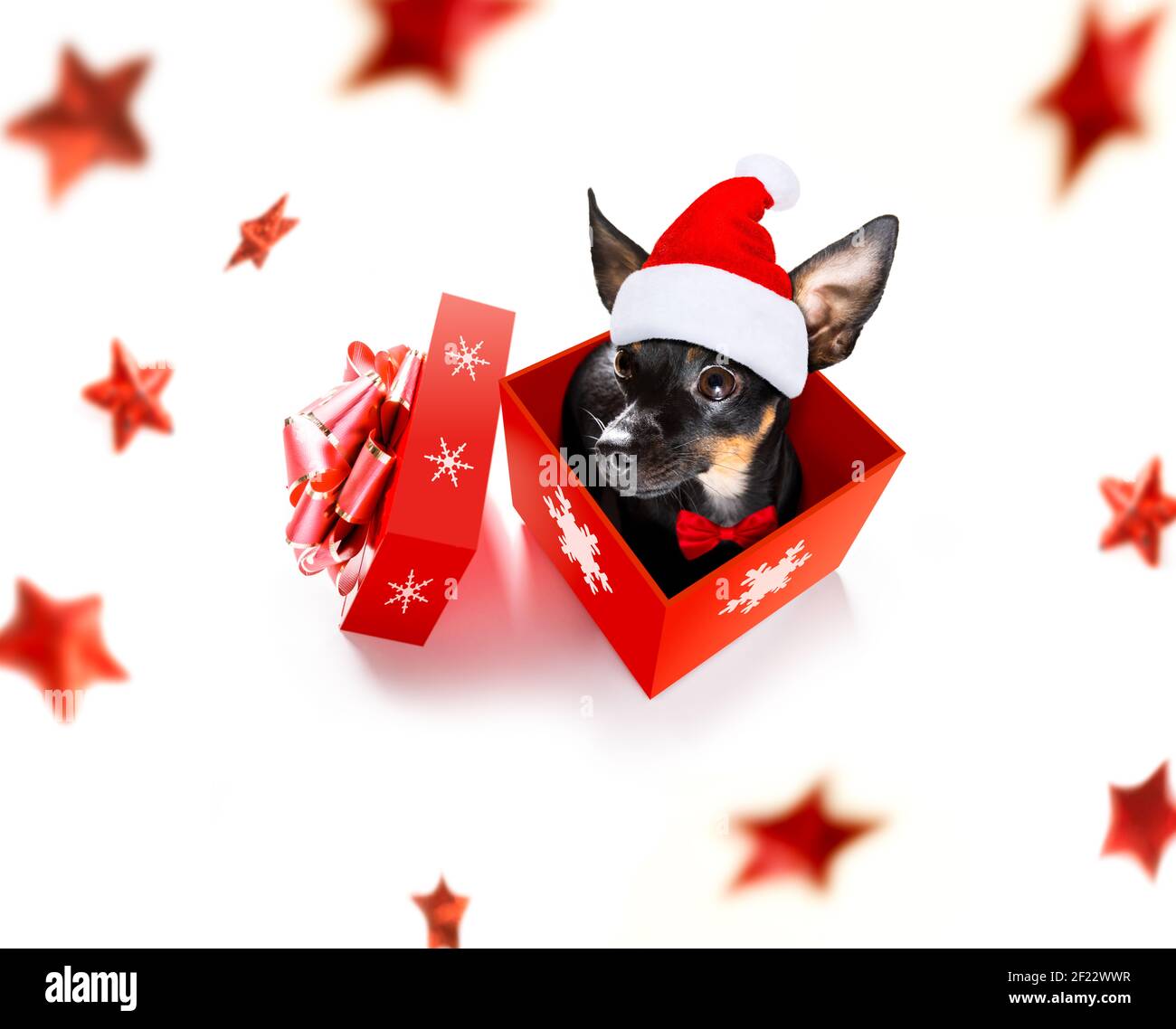 Surprised santa claus blank hi-res stock photography and images - Alamy