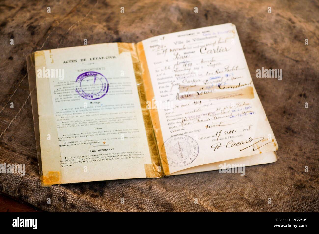 Family booklet hi-res stock photography and images - Alamy