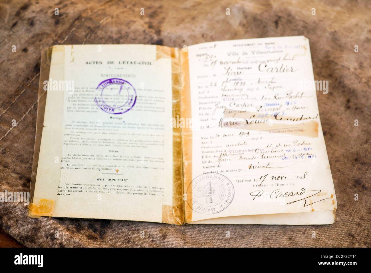 Family booklet hi-res stock photography and images - Alamy