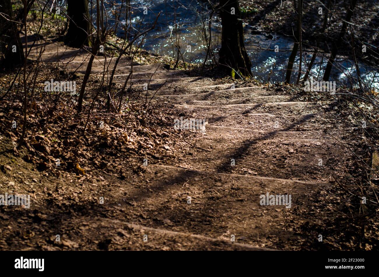 spring path along blue stream Stock Photo - Alamy