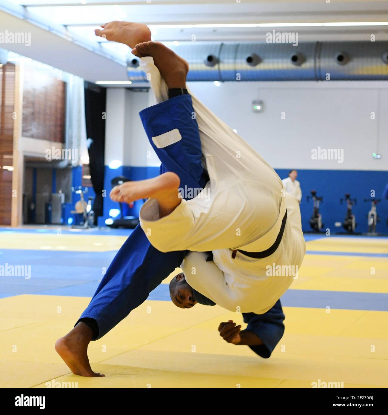 Teddy Riner and his sparring partner Nico Kanning during the technical ...