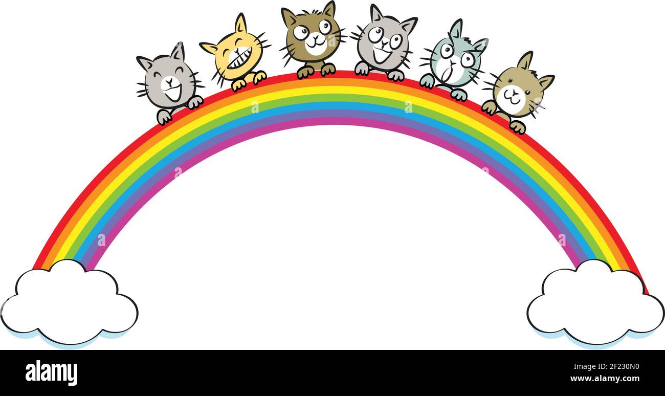 vector cartoon cat background Stock Vector Image & Art - Alamy