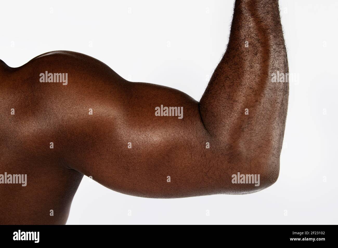 Anatomy of Teddy Riner's body (Biceps), 142kg, 2,03m, Insep, October 10 ...
